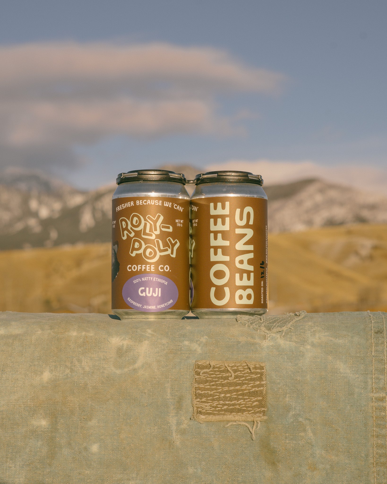 Natty Guji Ethiopia 12oz two-pack – Roly-Poly Coffee Co.