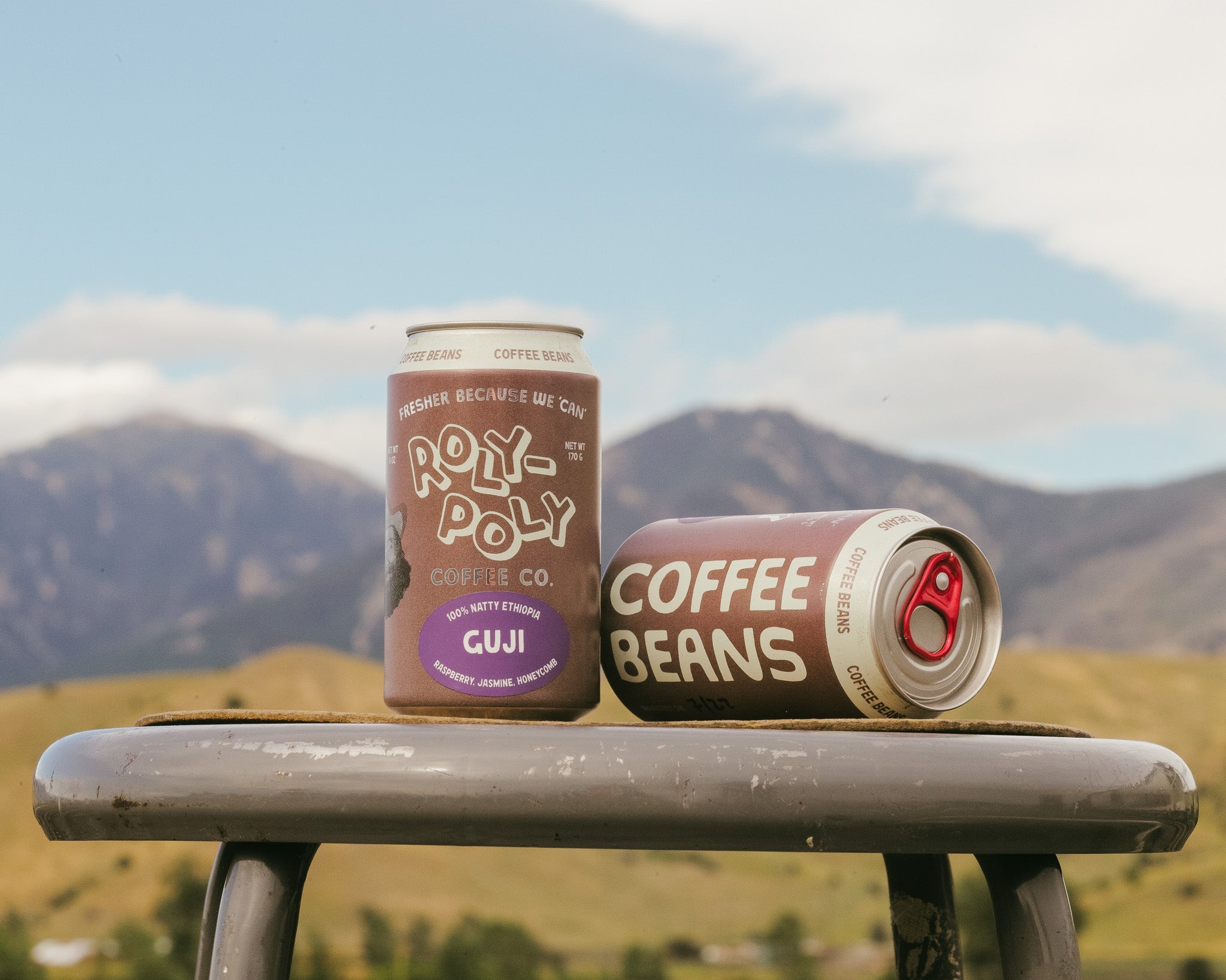 Natty Guji Ethiopia – Roly-Poly Coffee Co.